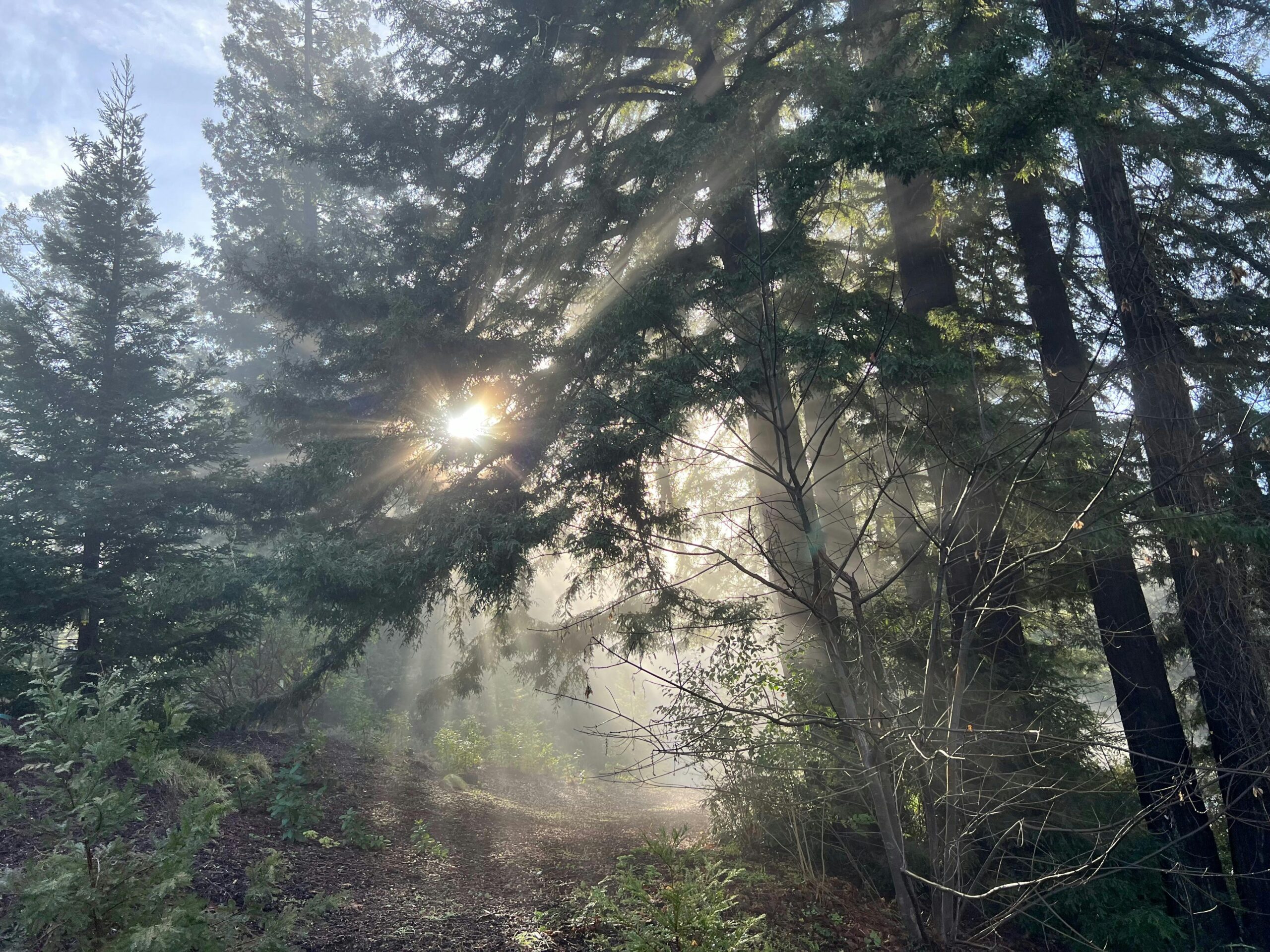 Good Quests, Optimism, Cities, and Ambition (2024 | Week 6) - Barrett ...